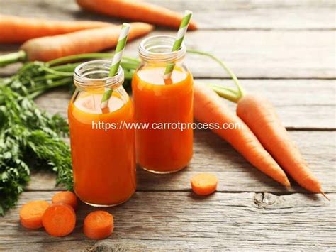 Health Benefits Of Carrot Juice Introduction Carrot Processing