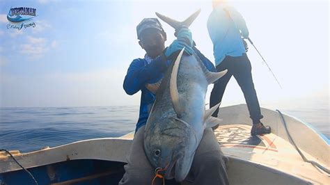 ANGLER INI KEWALAHAN MENGHADAPI PERLAWANAN TARIKAN IKAN PREDATOR DISPOT