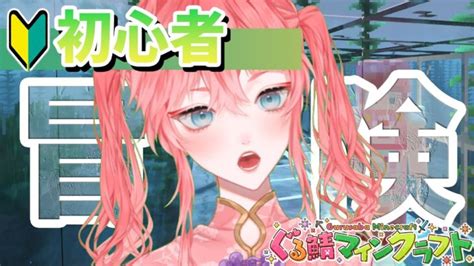 【minecraft】mod入れたら綺麗な世界過ぎたので雪山探しに行く【マイクラマインクラフト】vtuber Minecraft