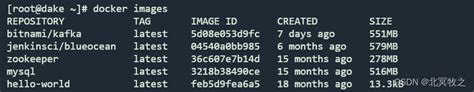Docker 安装 Kafkabitnami Kafka Csdn博客