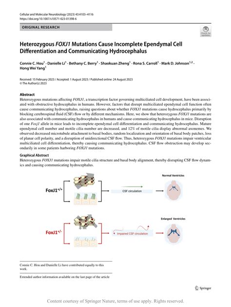 Pdf Heterozygous Foxj1 Mutations Cause Incomplete Ependymal Cell