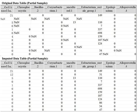 Example Of Data Tables Before And After Imputation Partial Sample