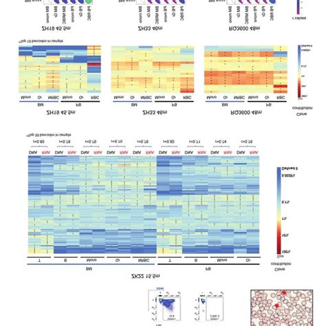 Clonal Contributions To Circulating Erythrocytes A Flowchart For Rna