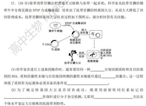 基因工程步骤图解 基因工程图解 伤感说说吧