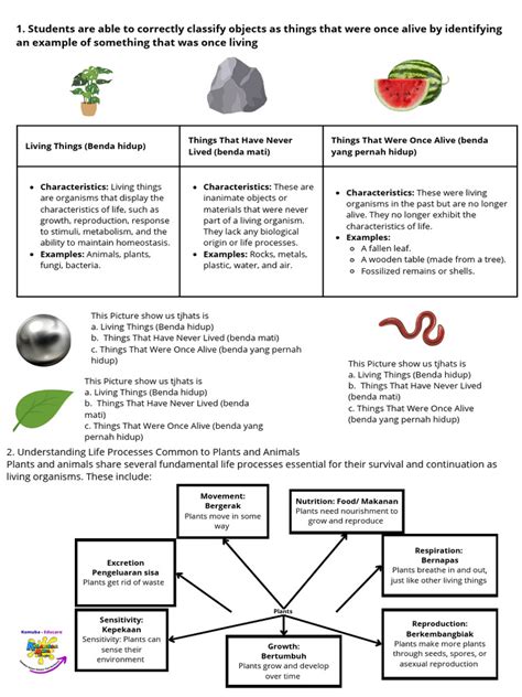 Students Are Able To Correctly Classify Objects As Things That Were