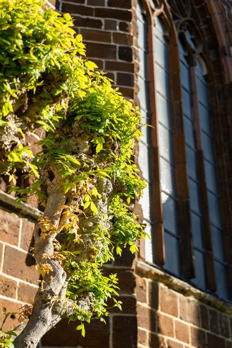 Themaroute Historisch Diest Zoektocht Visit Diest