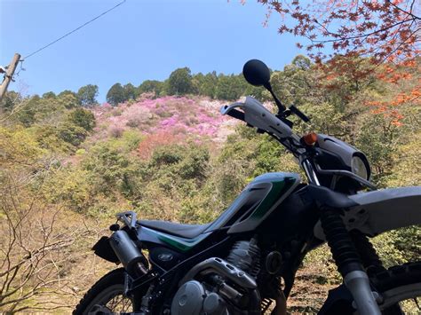 Jyuwaさんの投稿した愛車情報serow 250 良い天気😊 そうだ、山へ行こ〜 ٩ ｜バイクのカスタムツーリング情報