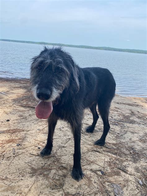 Sequisha Sequisha Twitter