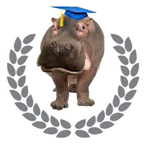 Hippodrome Tv A Hippo Campus Production Soul Patch Hippo Success