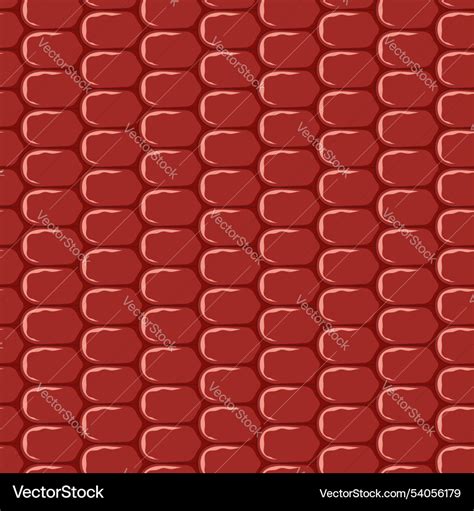 Maize Plant Vector Images Over 7 700