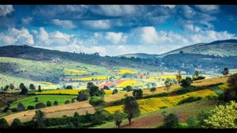 မောင်ပေးတဲ့အချစ်ပြန်ဆပ်ခဲ့ပါ Youtube