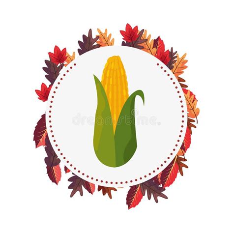Corn Cob Leaves Label Sticker Stock Illustration Illustration Of