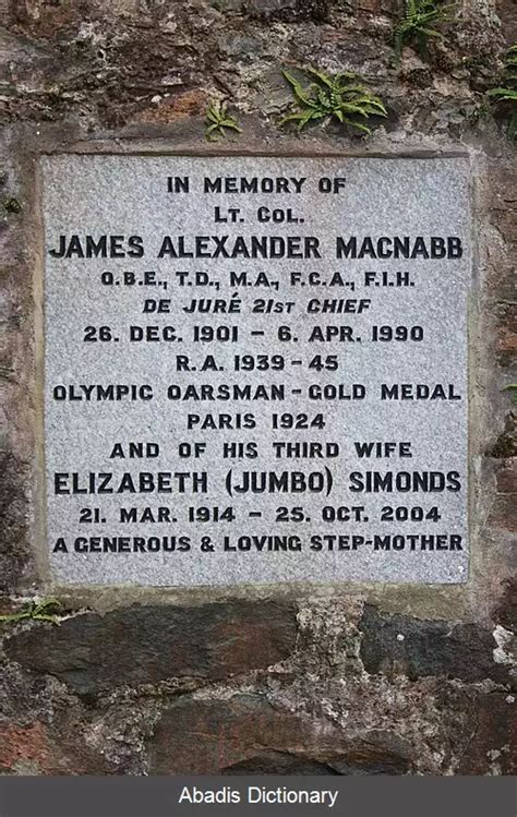 جیمز مک ناب معنی در دیکشنری آبادیس