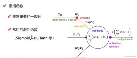 深度学习保姆级教学【深度学习保姆级教学】资料 Csdn博客