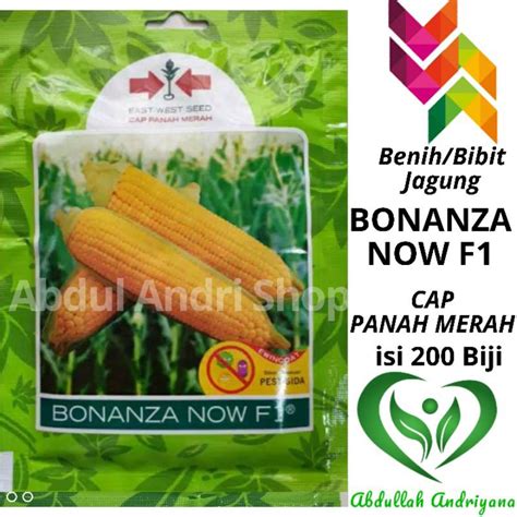 Jual Benih Jagung Manis BONANZA NOW F1 200 Biji Bibit JagungF1 Cap Panah Merah Shopee Indonesia