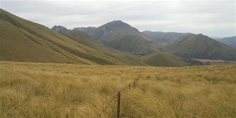 Danseys Pass 2022 Best Of Danseys Pass New Zealand Tourism Tripadvisor