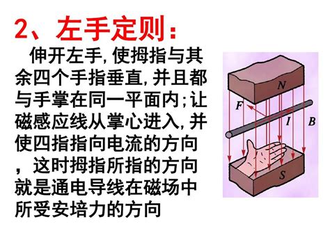 4 通电导线在磁场中受到的力 第一课时 拔中 word文档在线阅读与下载 无忧文档