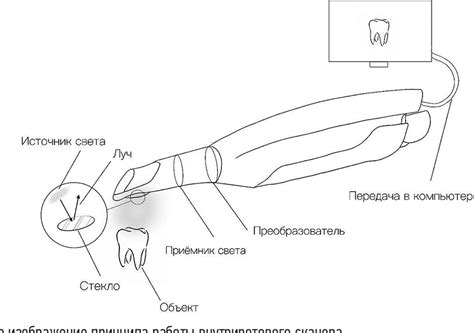 Figure 1 From Comparative Evaluation Of The Accuracy Of The Dental Arch Display Using Modern