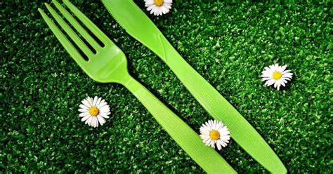 პრაქტიკული რჩევები რომლებიც პიკნიკის დაგეგმვისას აუცილებლად უნდა გაითვალისწინოთ Marao