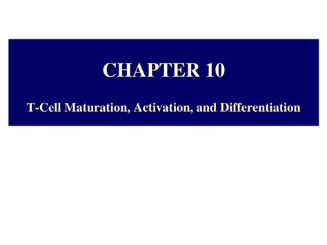 Ppt Chapter 10 T Cell Maturation Activation And Differentiation