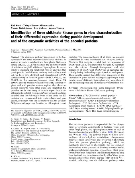 Pdf Identification Of Three Shikimate Kinase Genes In Rice Characterization Of Their