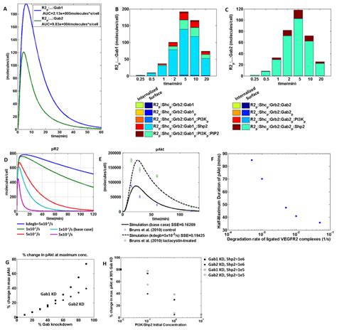 Simulations Recapitulate Differential Gab1 2 Activation In Vitro Download Scientific Diagram