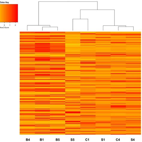 Heat Map Analysis Of Mirnas More Abundant In Biopsies Showing The