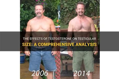 The Effects Of Testosterone On Testicular Size A Comprehensive
