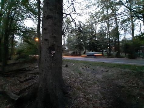 Best Hikes And Trails In Closter Nature Center Alltrails