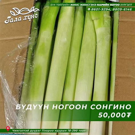 Жимс нарийн ногоо хүргэлт Гала хүнс ХХК