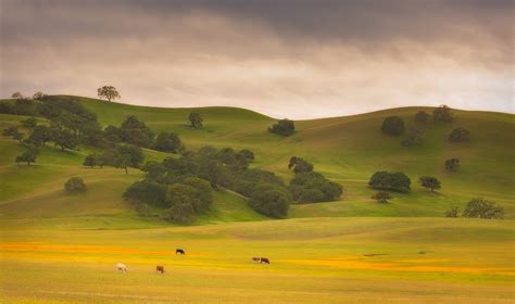 Grasslands Hd Wallpapers