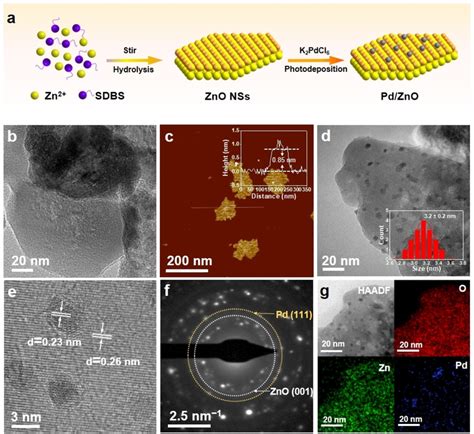 A Schematic Illustration For The Synthesis Of The Pd Zno Composites Download Scientific