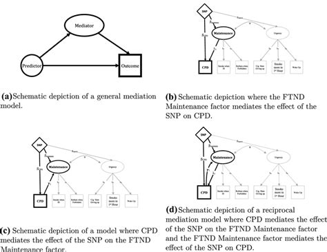 Path Diagrams Depicting The Various Mediation Models Fit In The Current