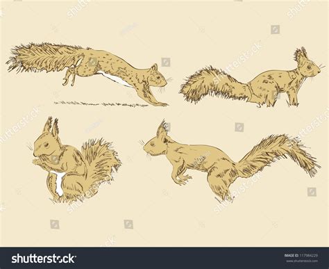 Squirrel Set Stock Illustration Shutterstock