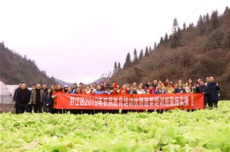 黔江区水市乡培育新型职业农民 助推乡村振兴 上游新闻汇聚向上的力量