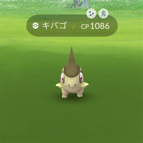 【ポケモンgo】の色違い、 入手方法と実装状況 攻略大百科
