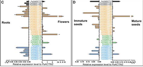 Phylogenetic Analysis And Tissue Specific Expression Profile Of The P