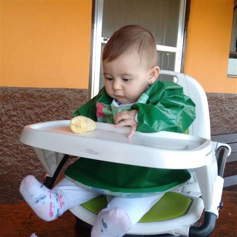Introdução Alimentar quando começar Blog da Aurora Senhora