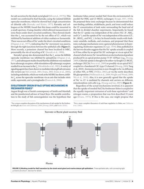 Fish Osmoregulation Pdf