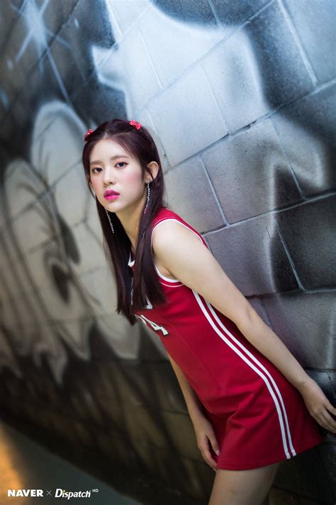 Momolanddaisy 千图网