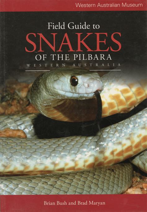 Field Guide To Snakes Of The Pilbara Abc Maps