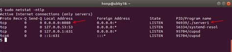 Server Socket Bind Error •