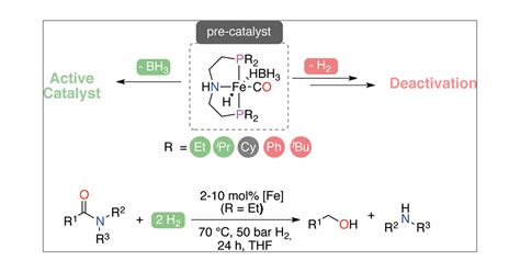 Selective Hydrogenation Of Amides To Amines And Alcohols Catalyzed By