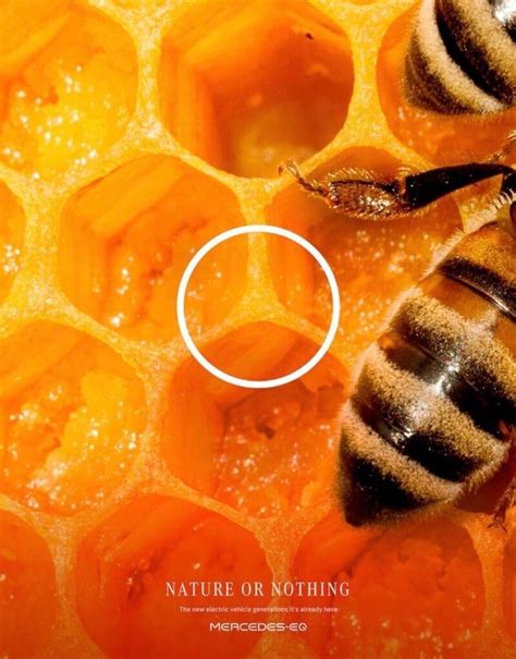 Giada Piccin Posted On Linkedin