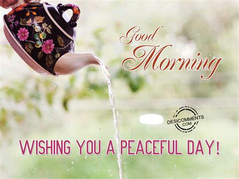 Good Morning Wishing You A Happy Day Desi Comments