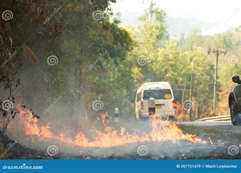 Burnt Dry Grass Roadside On A Sunny Summer Day Stock Image Image Of