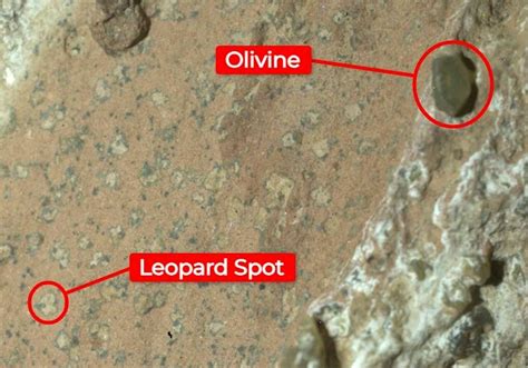 Has Nasa Found Evidence Of Ancient Life On Mars An Expert Examines The