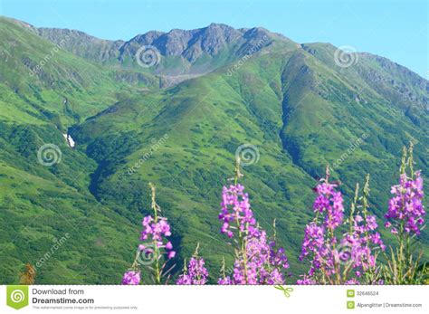 Hatcherpass Clipart 20 Free Cliparts Download Images On Clipground 2024