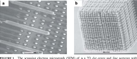 Figure 1 From Diffusion Limited Photopolymerization In Scanning Micro Stereolithography