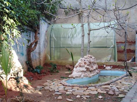 حديقة المدرسة مدرسة الرجاء والتفوق